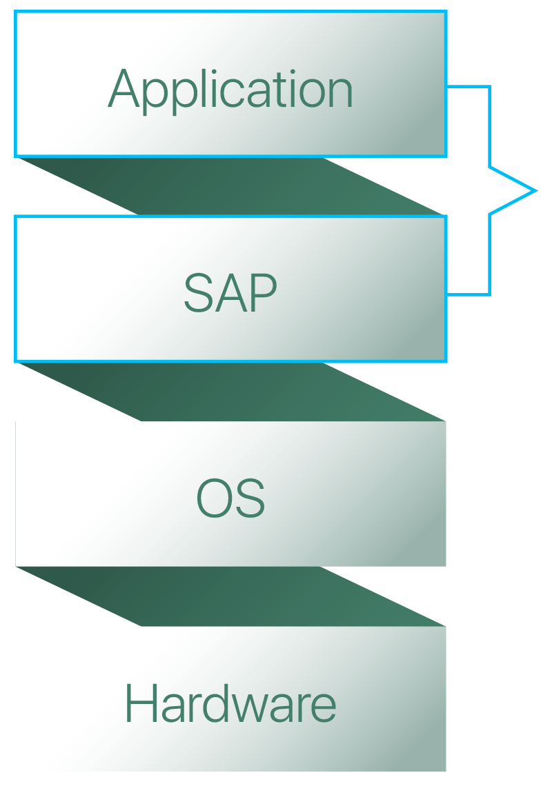 02_service_05_sap_graph01_left | Azure導入支援デスク